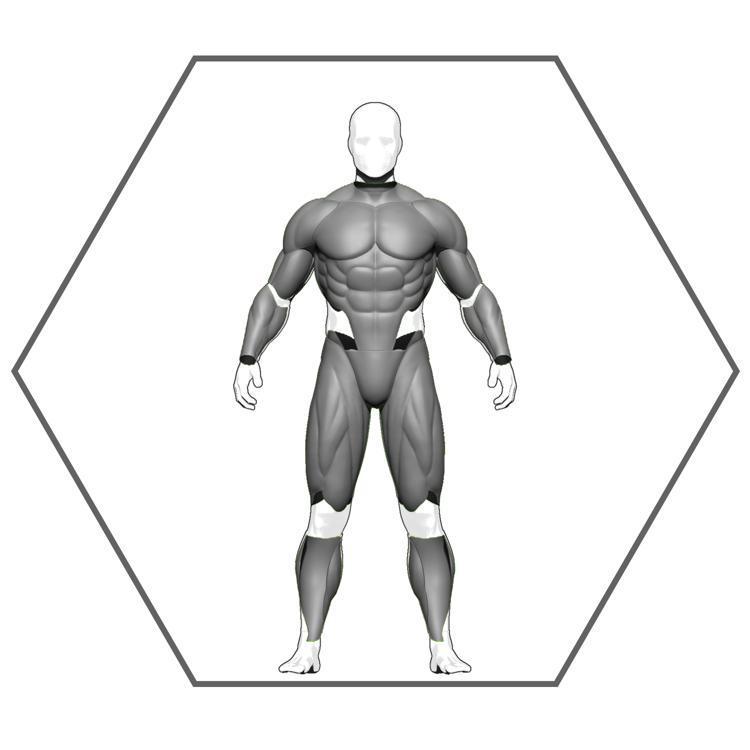 MuscleForge – AlterEgoStudios